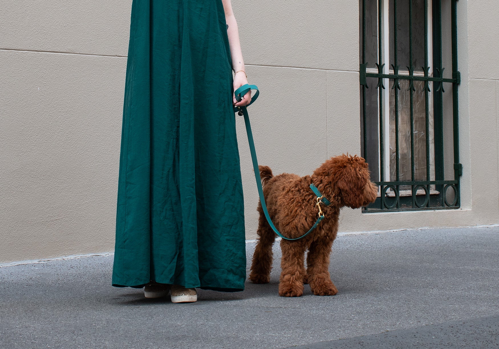 Waterproof collection – Diog