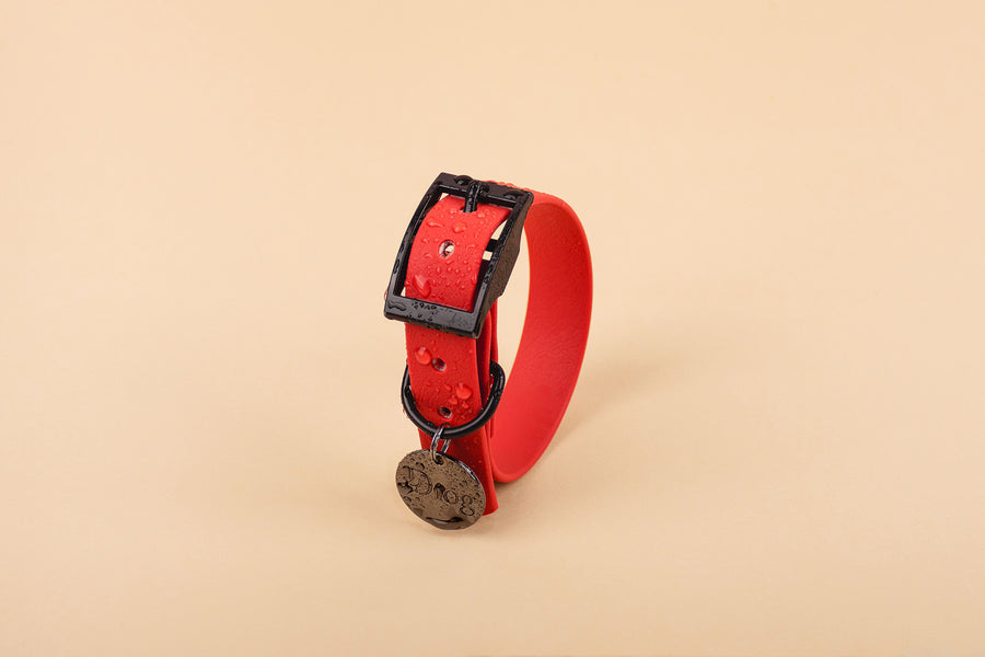 Collars – Diog